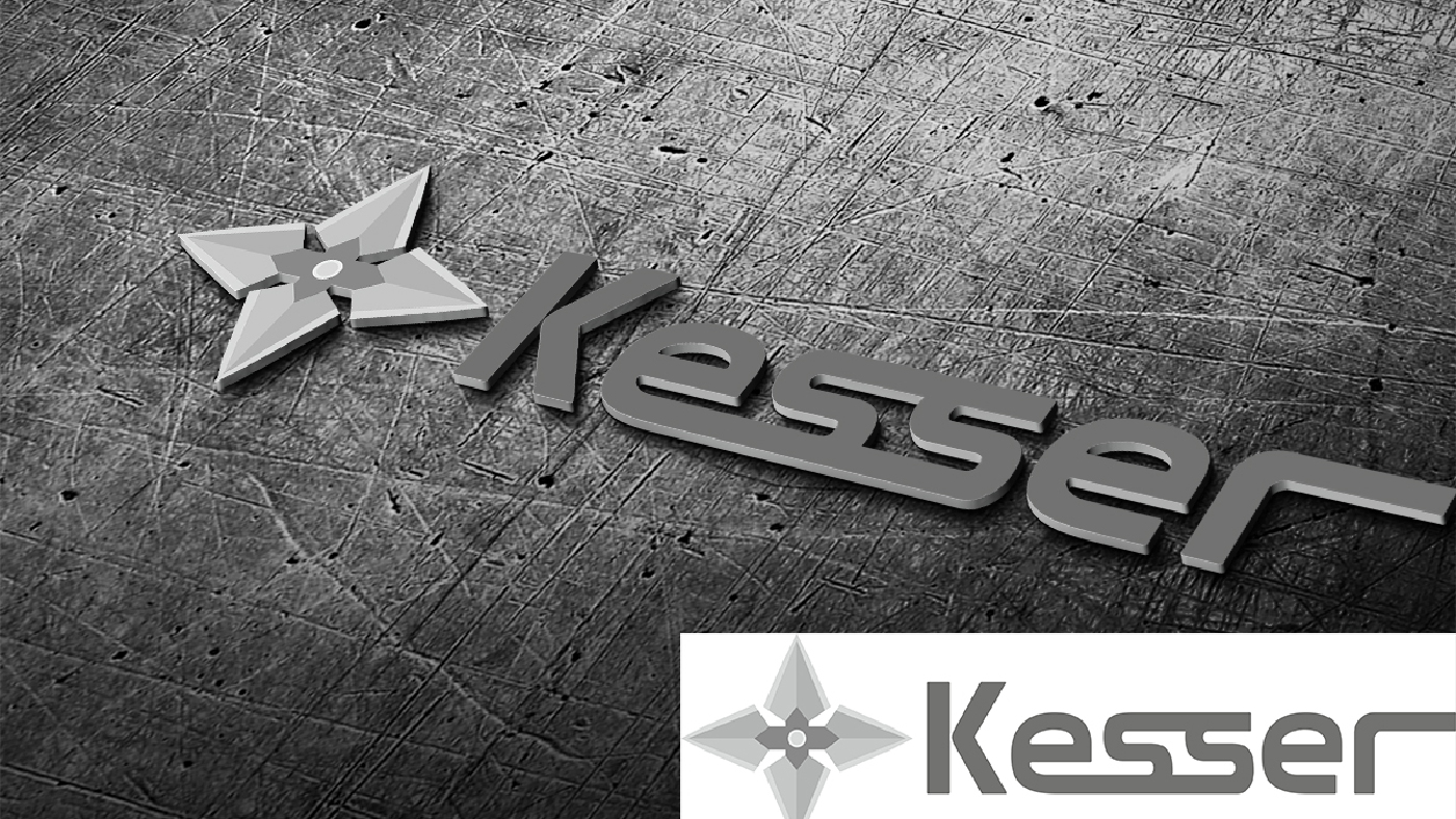 Ben, profesyonel ve kurumsal logo tasarımı yaparım - ngrafik | Bionluk